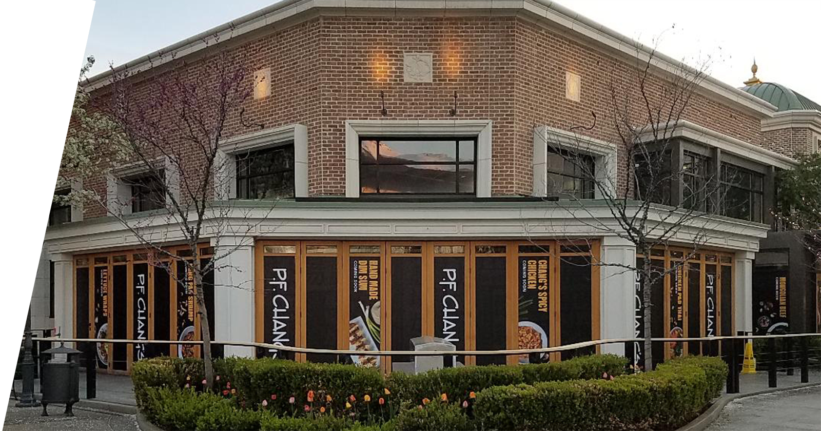 Services – Consolidated Color and Design